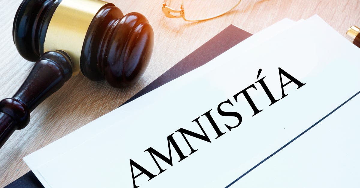 Texto Íntegro De La Ley De Amnistía Guía Completa El Compartir Texto